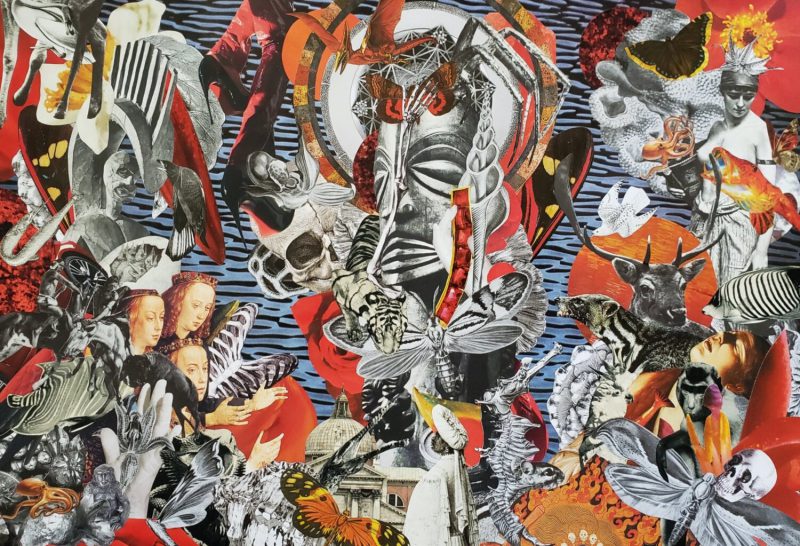 Layers Upon Layers of Collage | The Daring