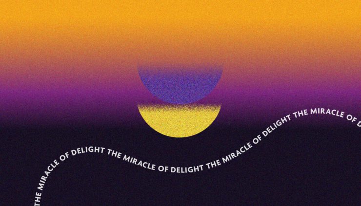 Star Rockets in Flight, Afternoon Delight | The Daring